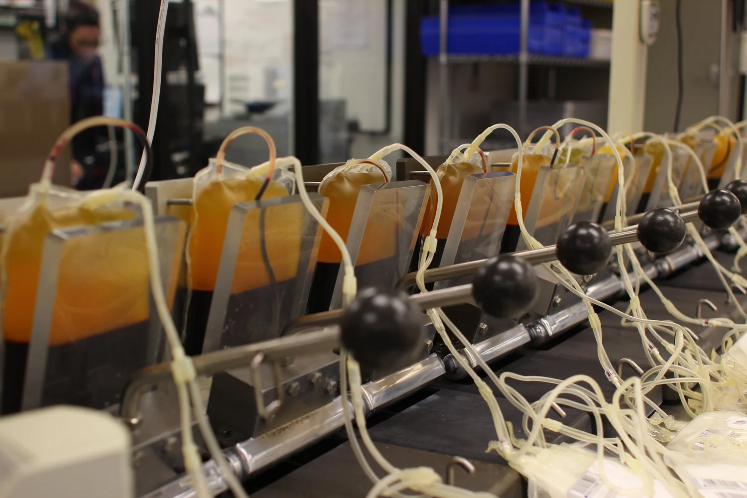 Blood Products — BioSharing Network