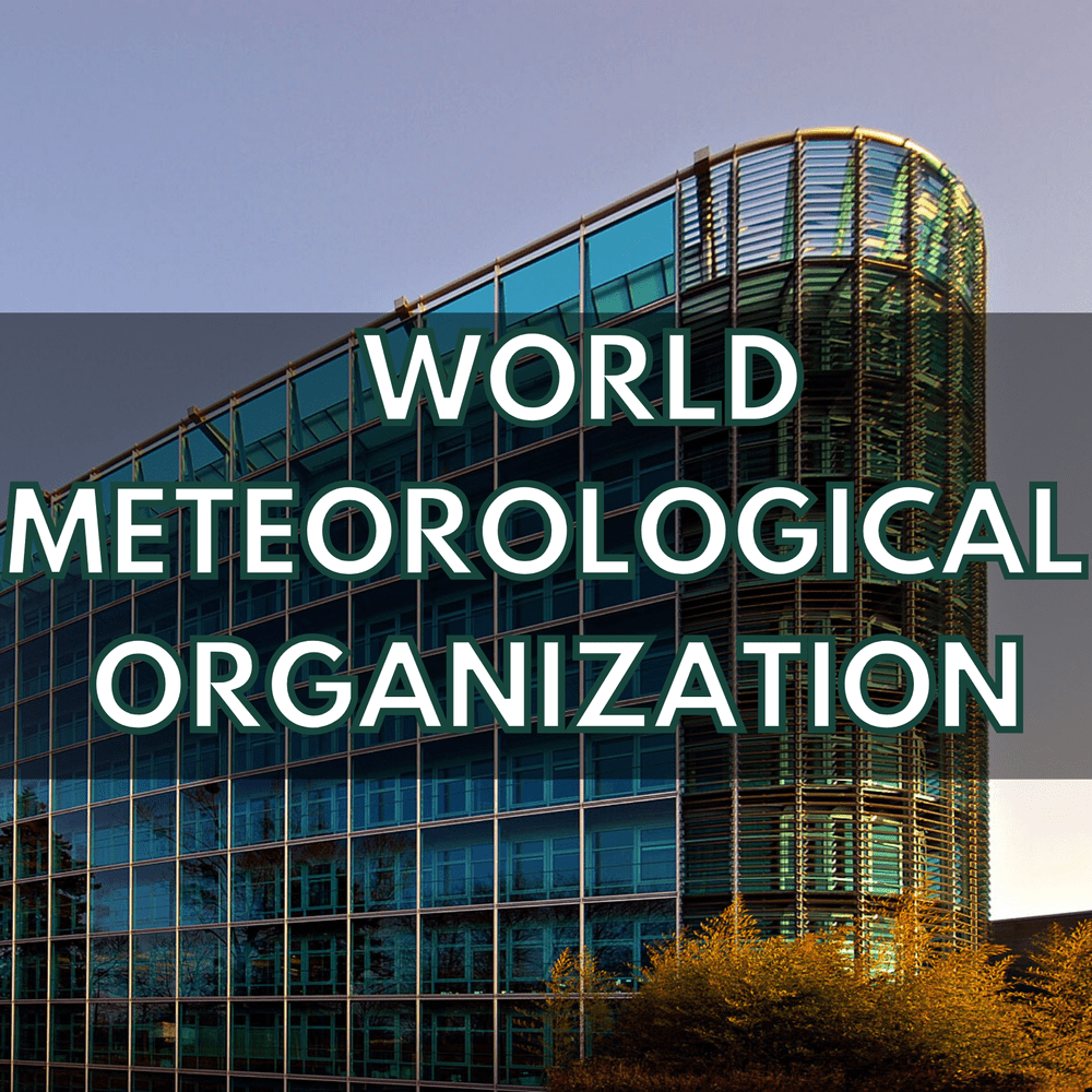 XXIII General Assembly Committees — MSUMUN