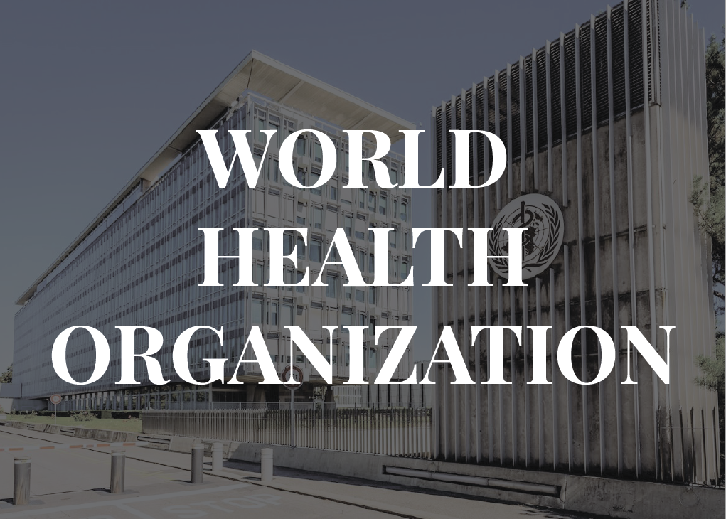 XXIII General Assembly Committees — MSUMUN