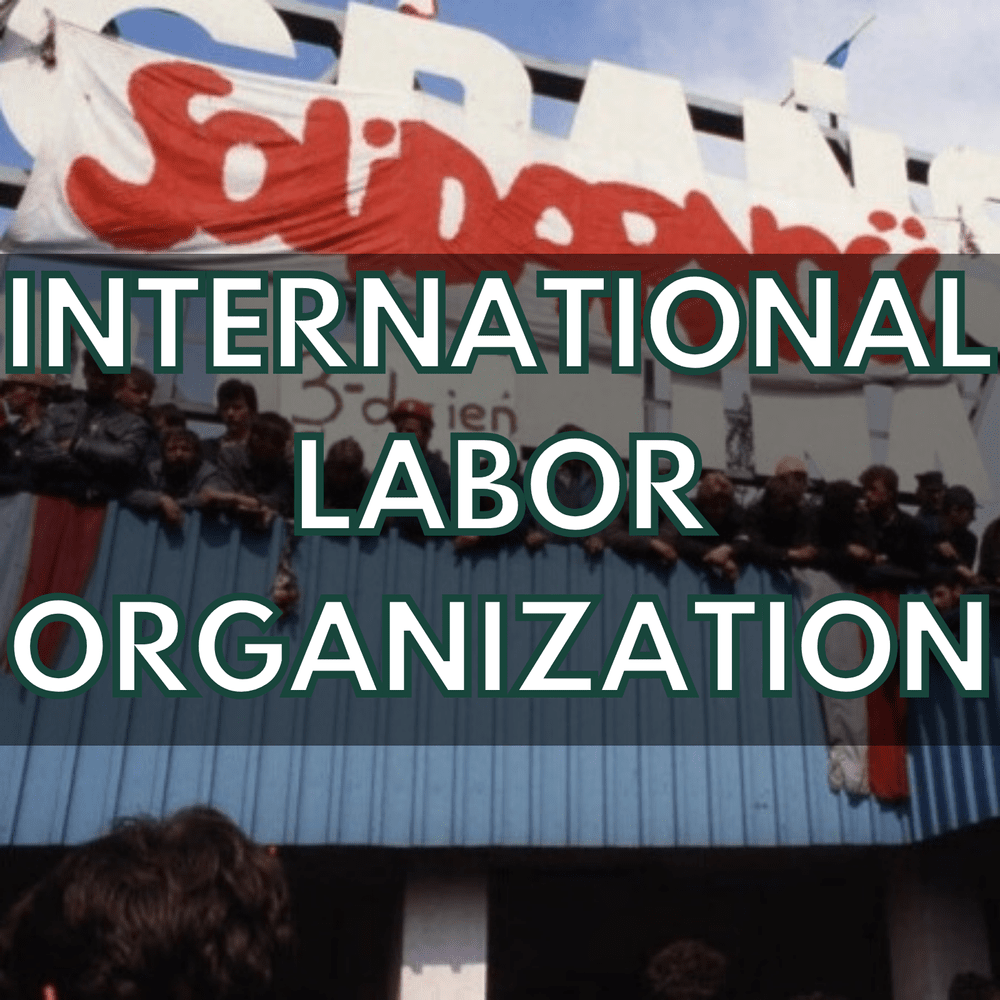 XXIII General Assembly Committees — MSUMUN