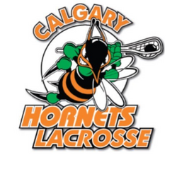 Tournament — Trevor Wingrove