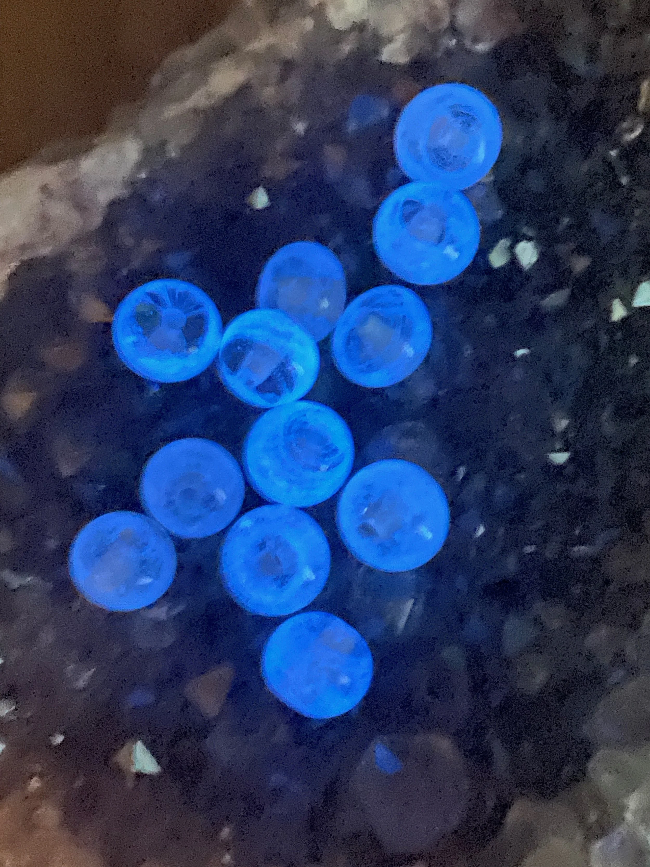 Glow Glass — Lykania