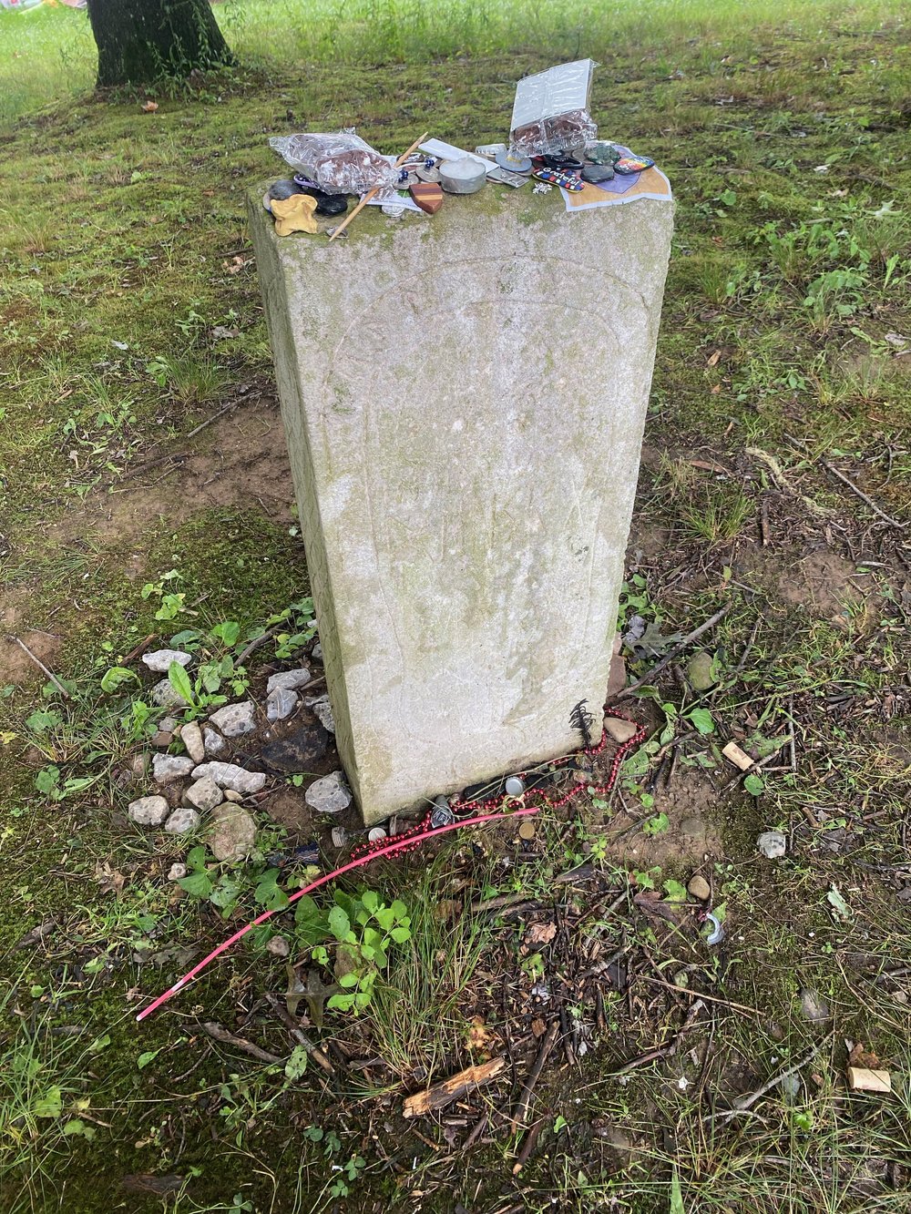 Pennsic 50 — Lykania