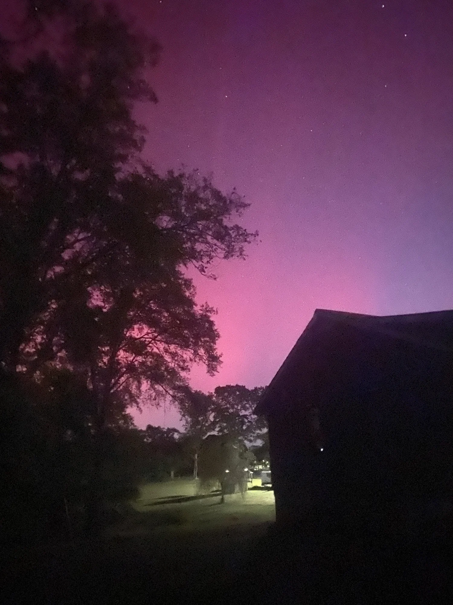 2024 Ups and Downs — Lykania