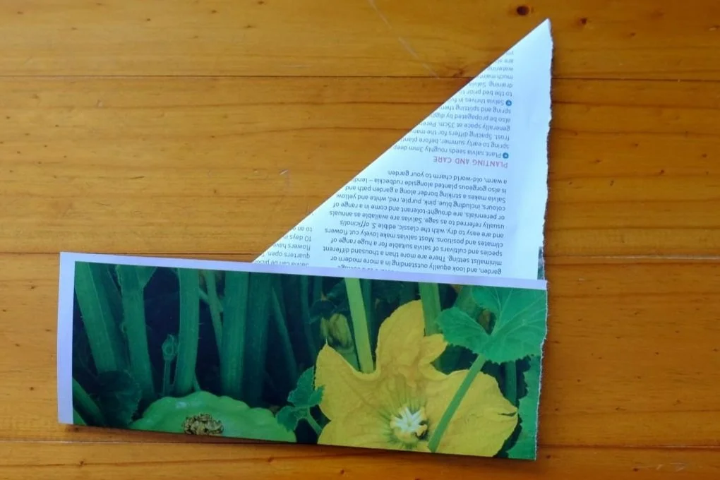 Origami Seed Packets — Girl in the Green