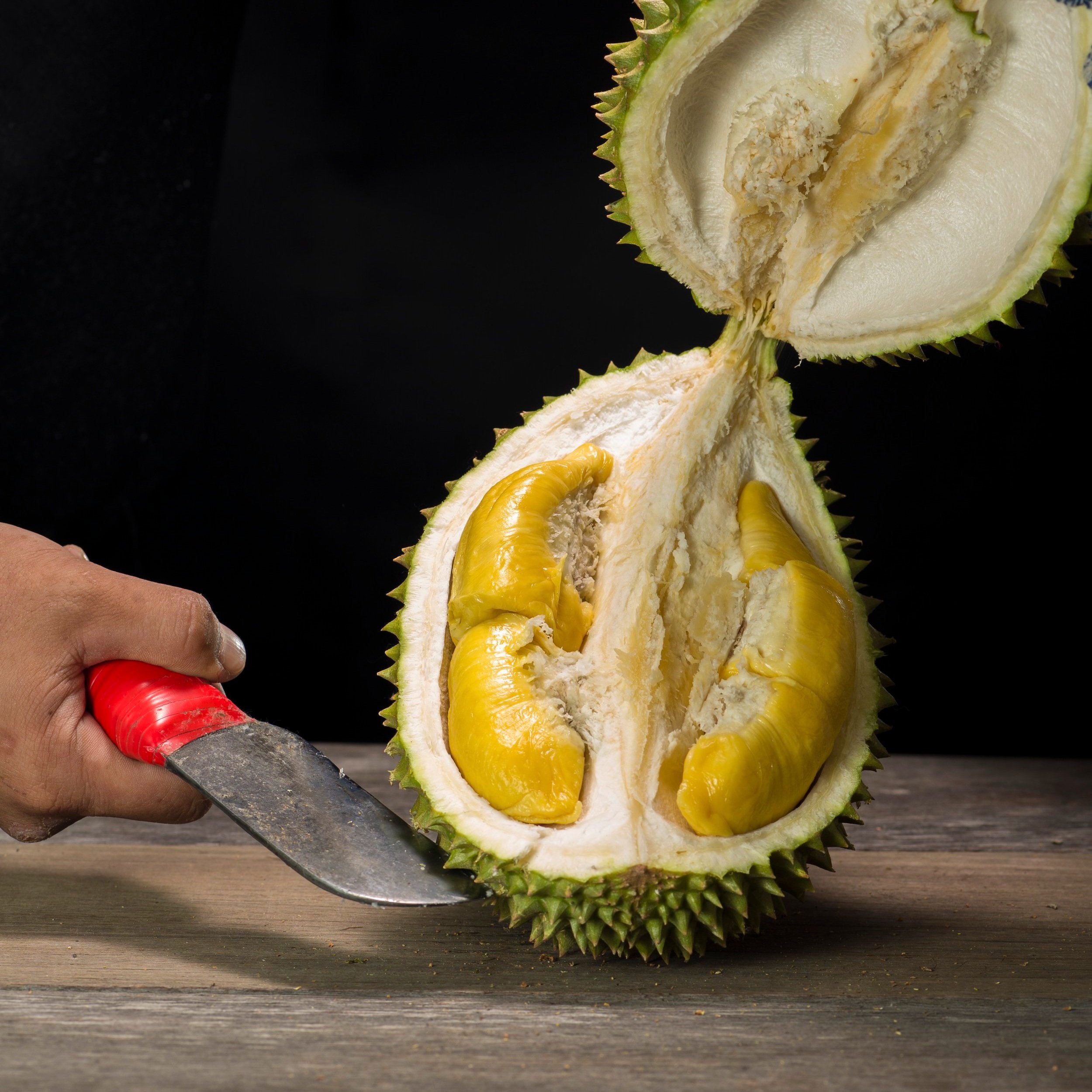 Ms Durian ™ — MS DURIAN