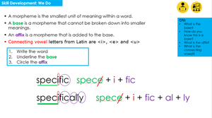 The Morphology Project — The Grammar Project
