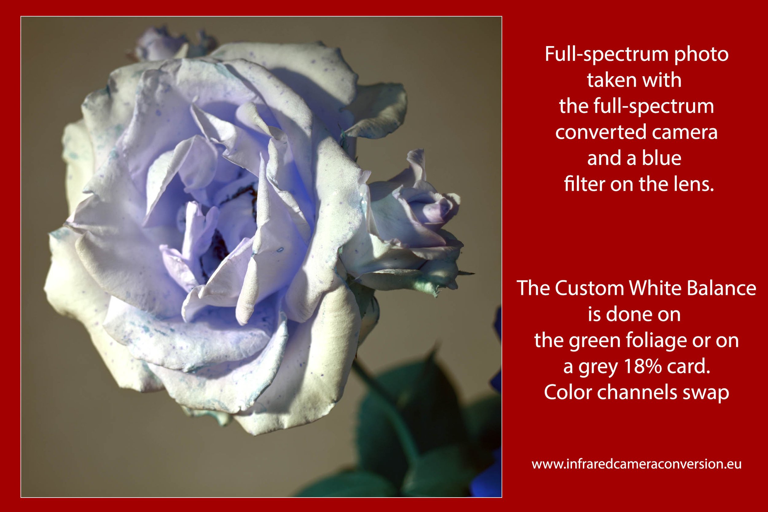 Infrared & Full-Spectrum Digital Cameras – Professional IR Conversion ...