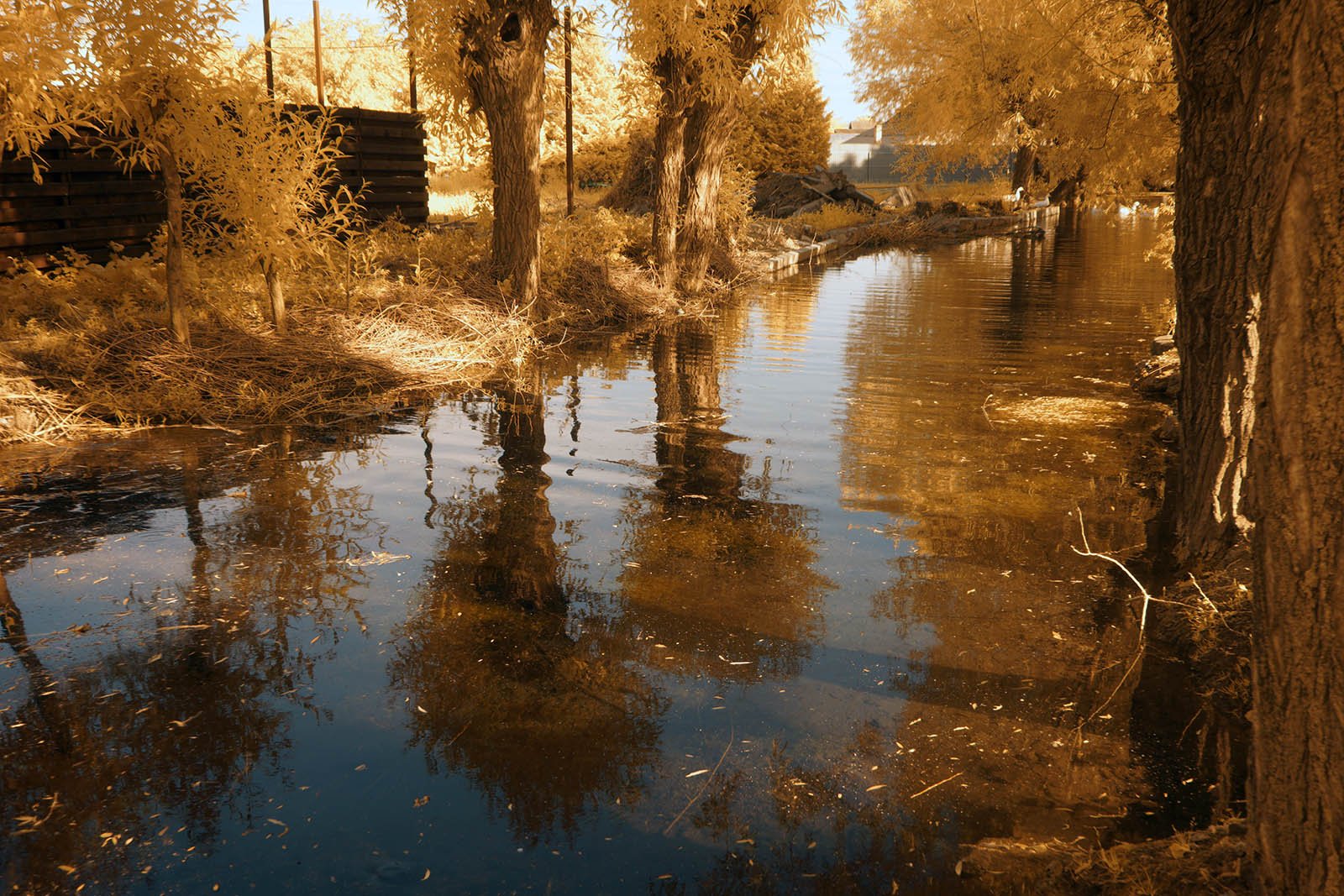 Full-spectrum converted Sony A7 Mark II camera body — Infrared and Full ...