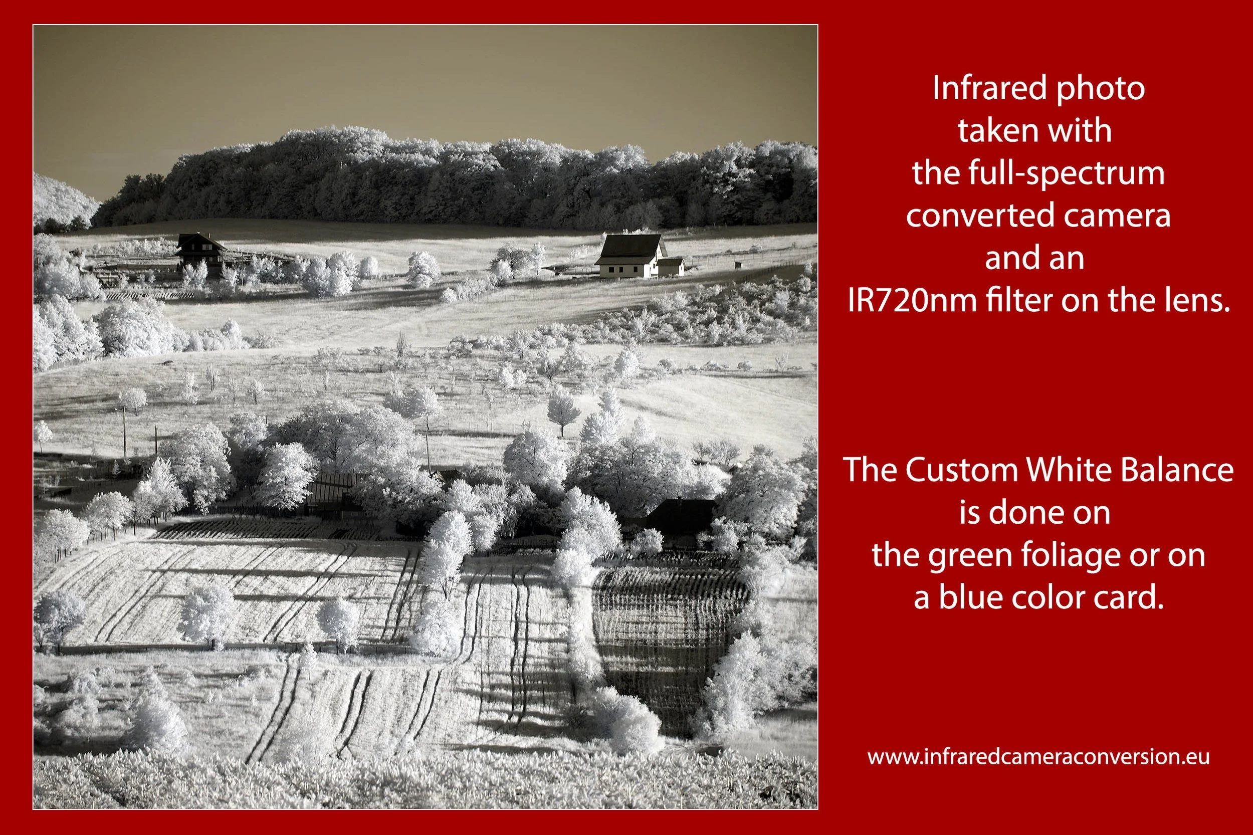 Infrared & Full-Spectrum Digital Cameras – Professional IR Conversion ...