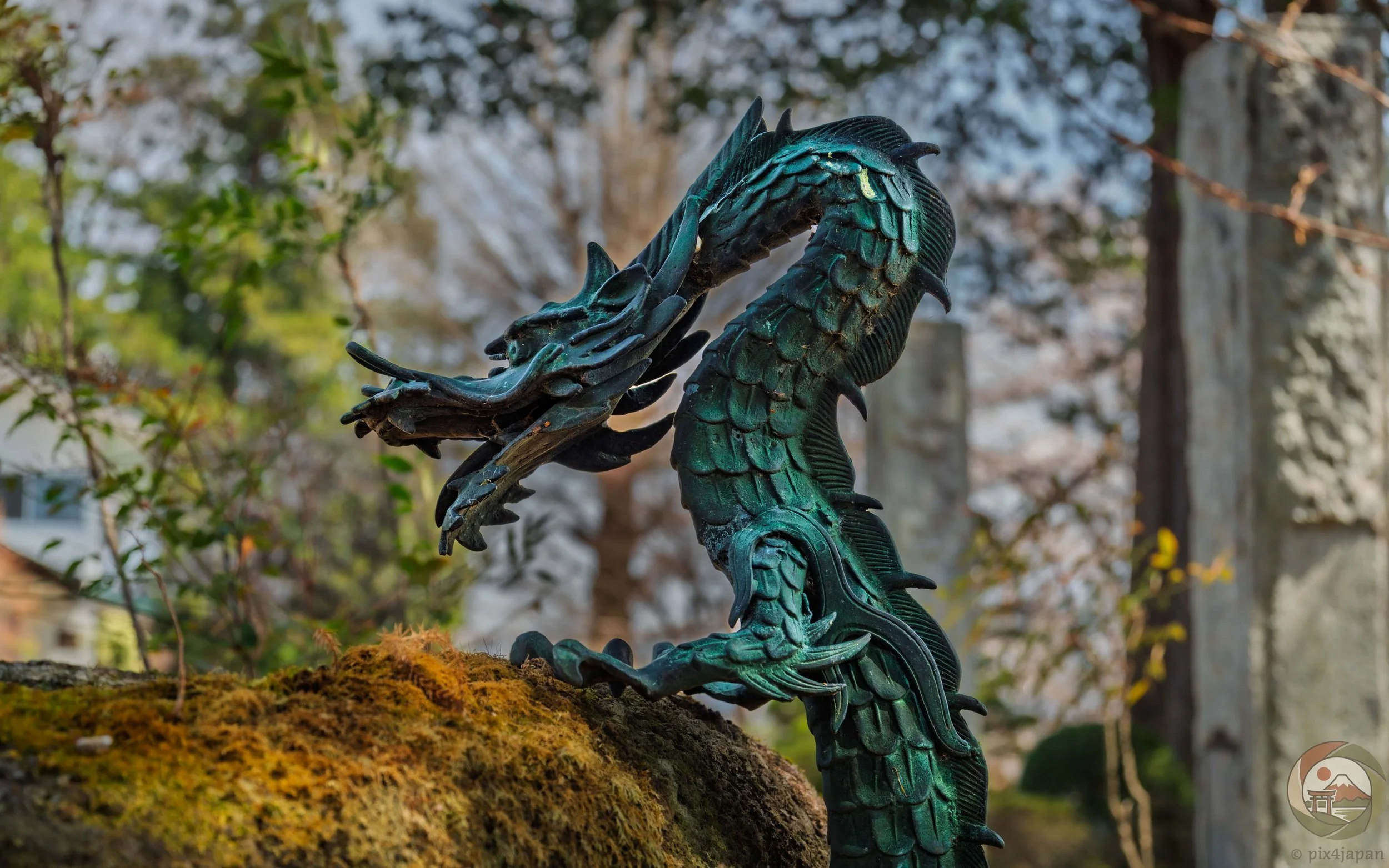 Dragons in Japan: Sacred Symbols, Folklore, and Modern Culture・日本の龍：宗教的 ...