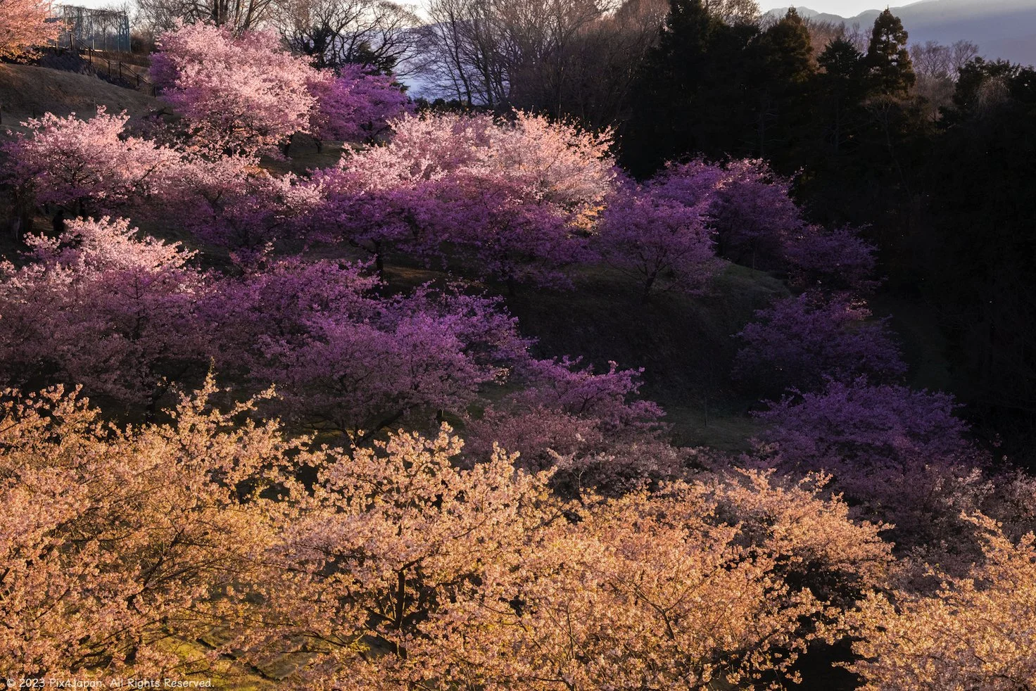 Oi Yume-no-Sato Park — Pix4Japan