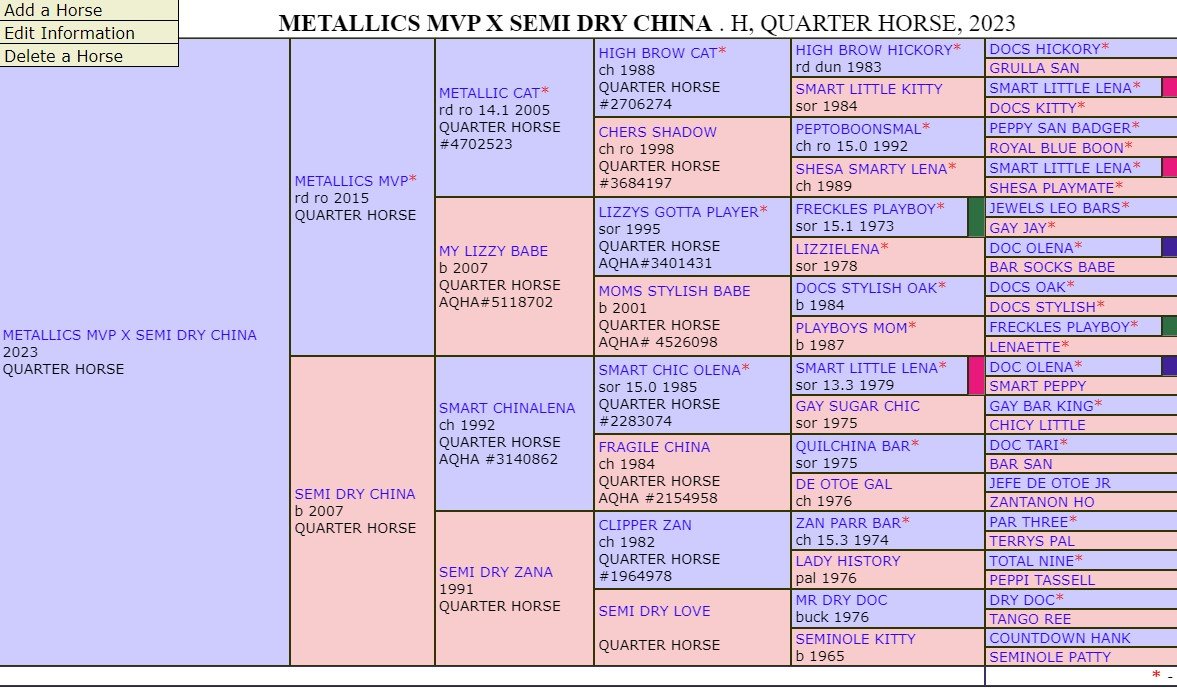 Store 2 — She's The One Ranch
