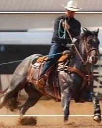 Team 1 — She's The One Ranch