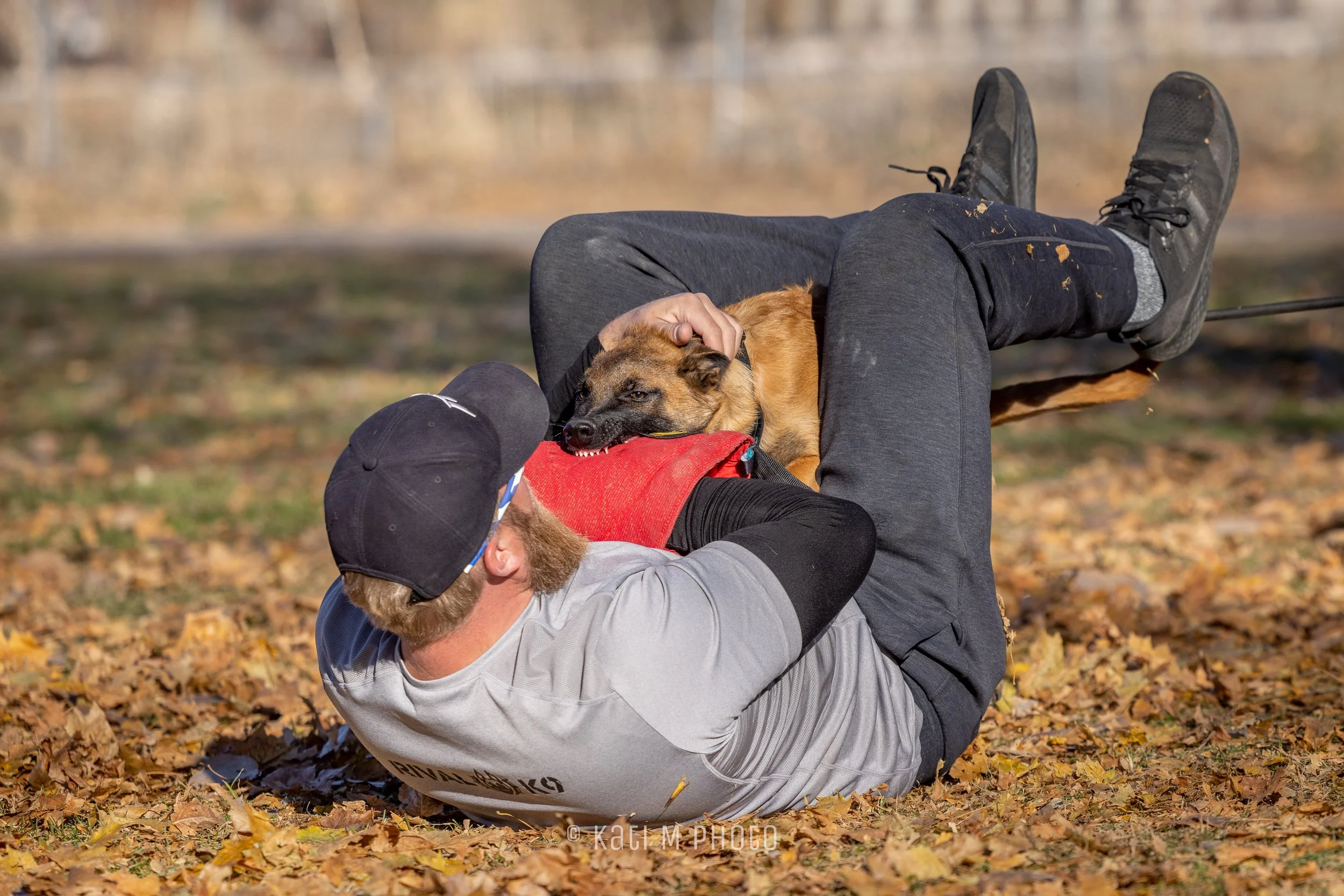 Rival K9 Working Dogs