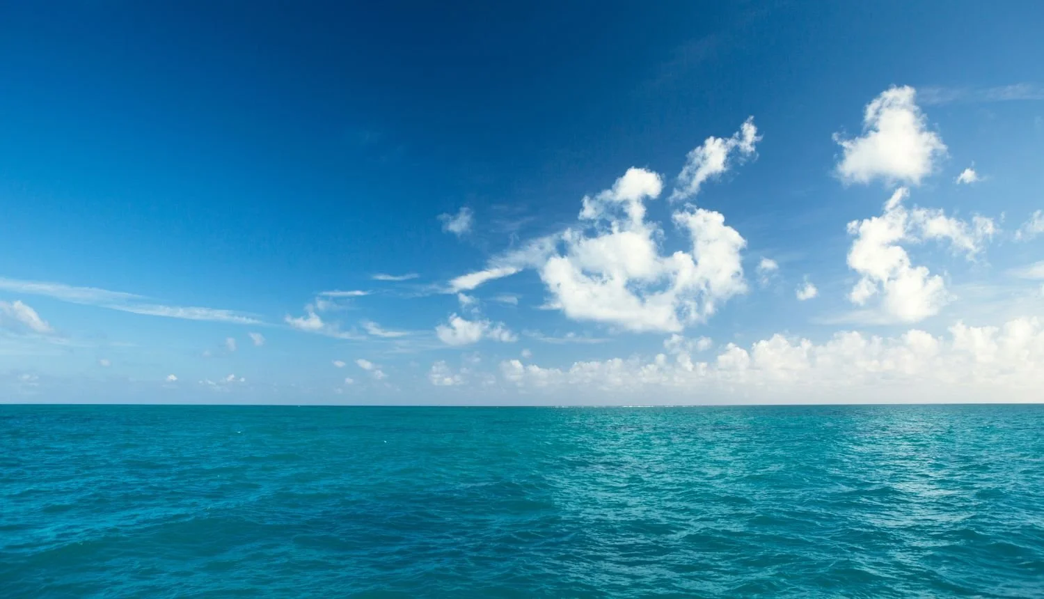 When to Visit Turks and Caicos: Your Comprehensive Seasonal Guide