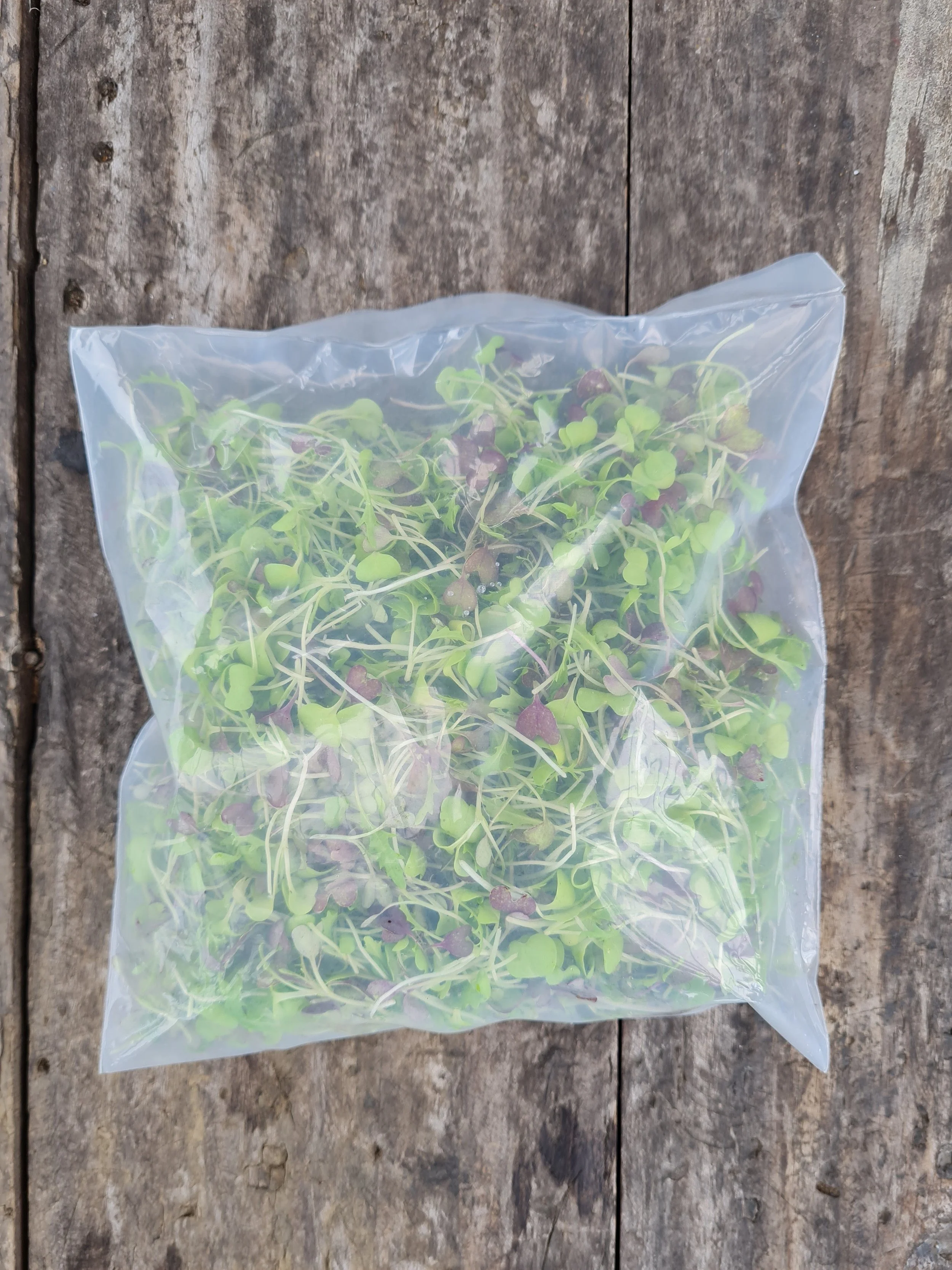 Pirongia vege boxes — Little Pirongia Farms