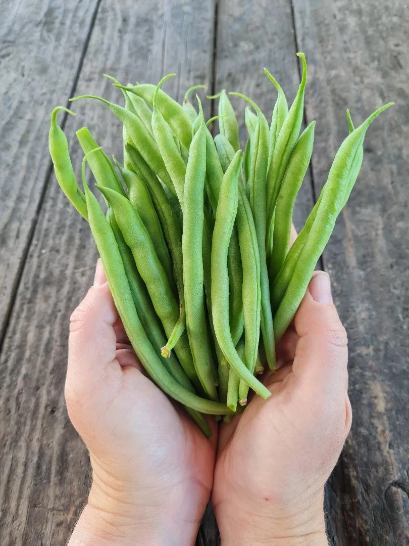 Pirongia vege boxes — Little Pirongia Farms