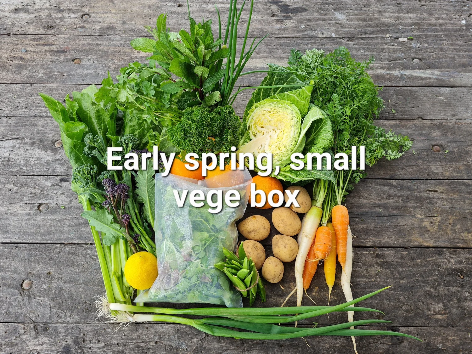 Pirongia vege boxes — Little Pirongia Farms