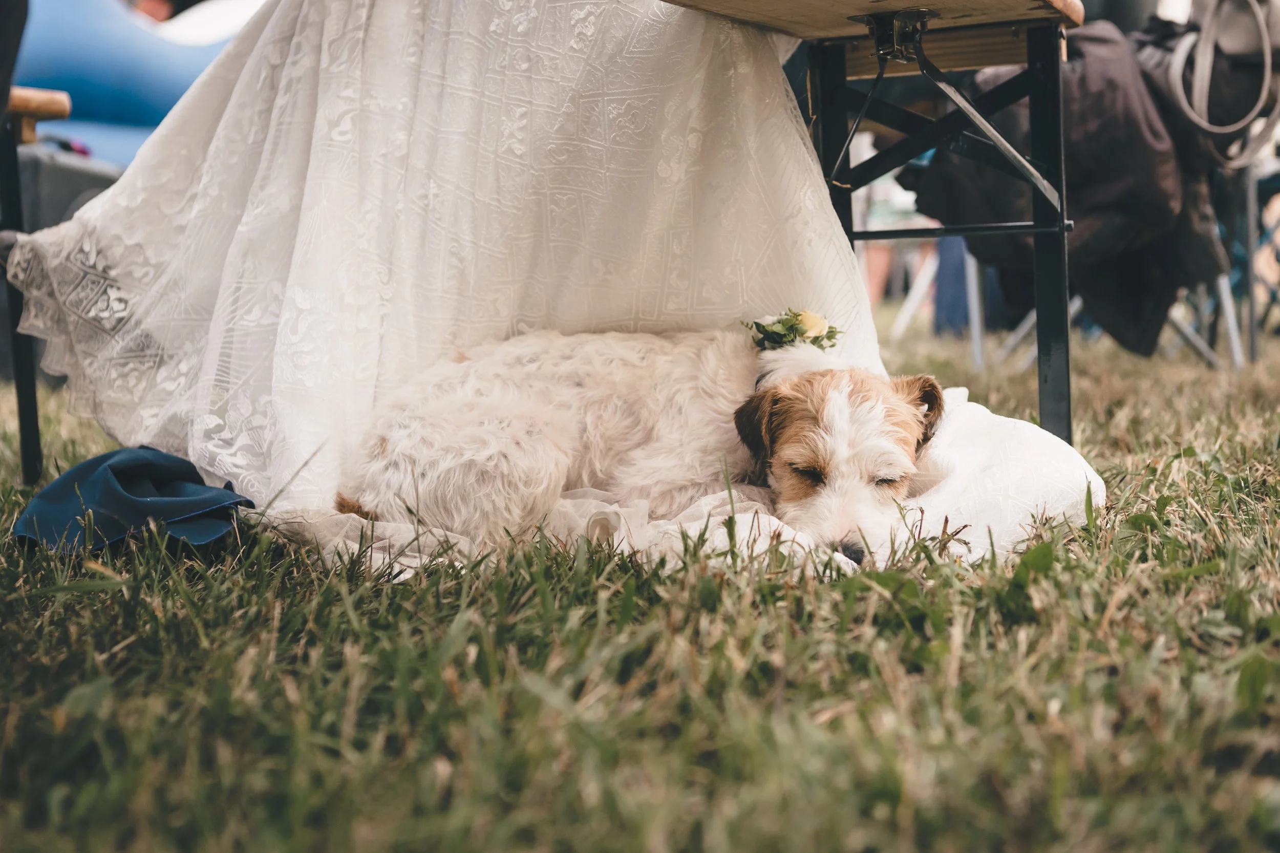 Martyn Hathaway | North West Wedding Photographer