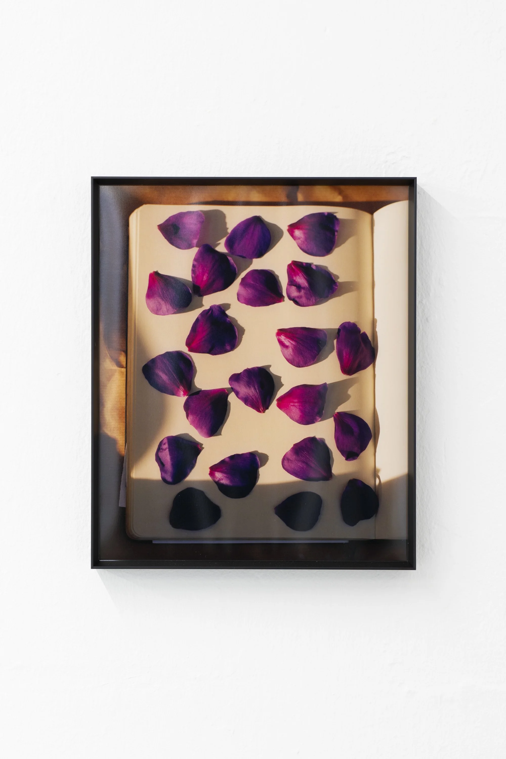 Oblong | RECONSTRUCTED NATURE Luke & Nik 27.06–03.08.2024