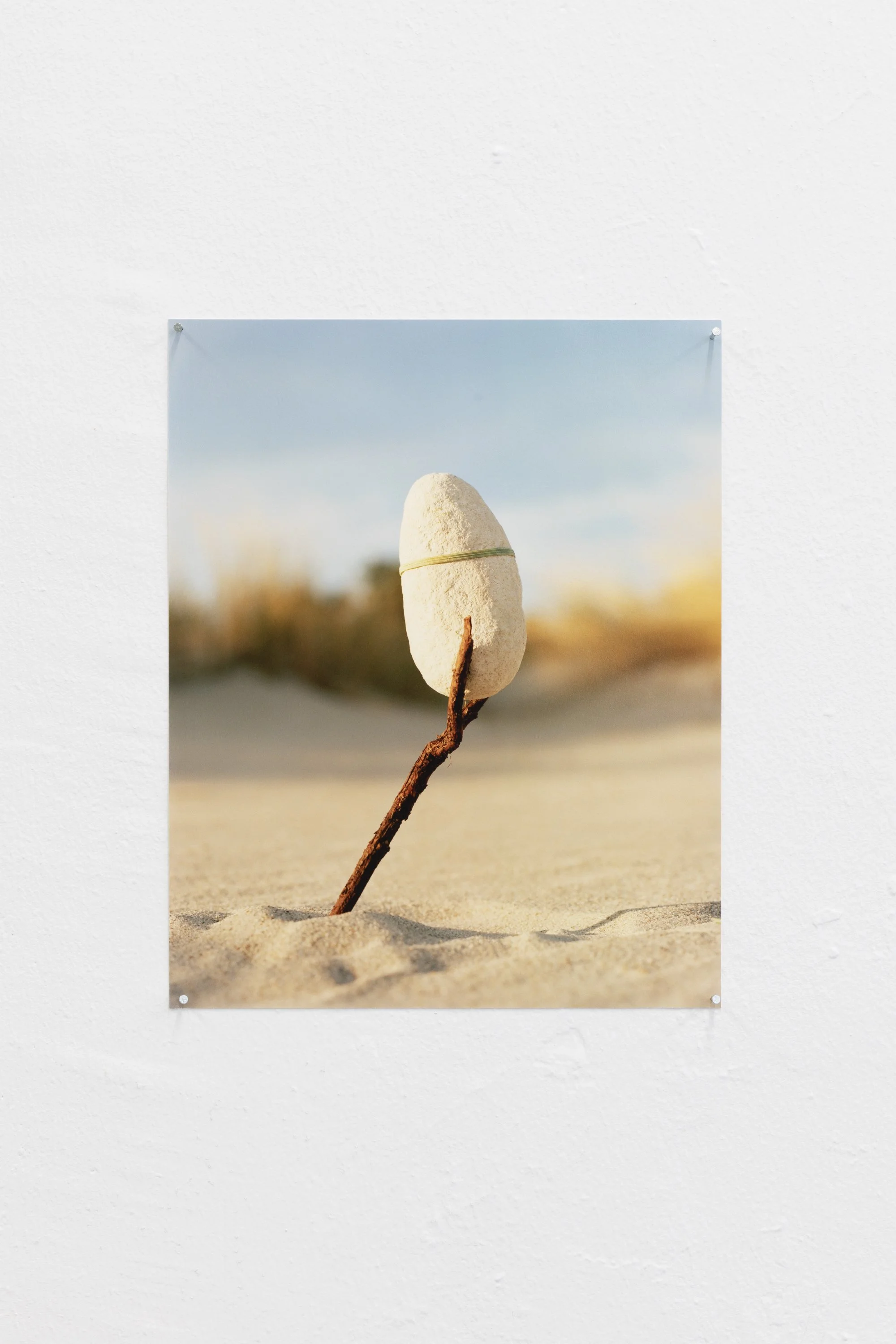 Oblong | RECONSTRUCTED NATURE Luke & Nik 27.06–03.08.2024