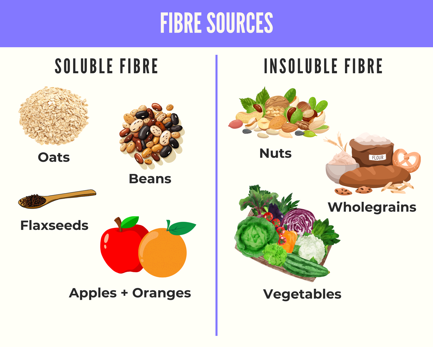 What Are Macronutrients? A guide to understanding what’s really in your ...