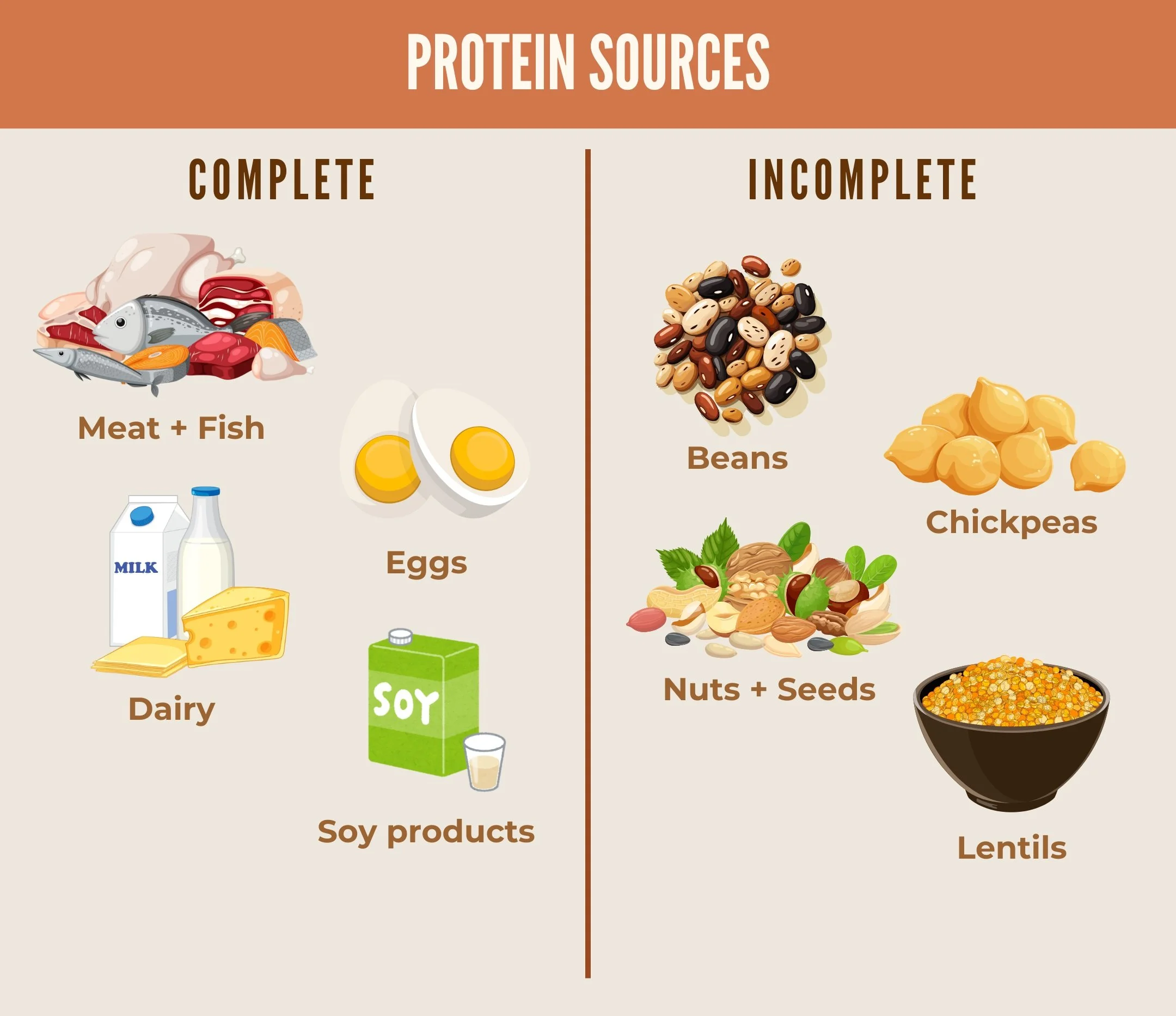 What Are Macronutrients? A guide to understanding what’s really in your ...