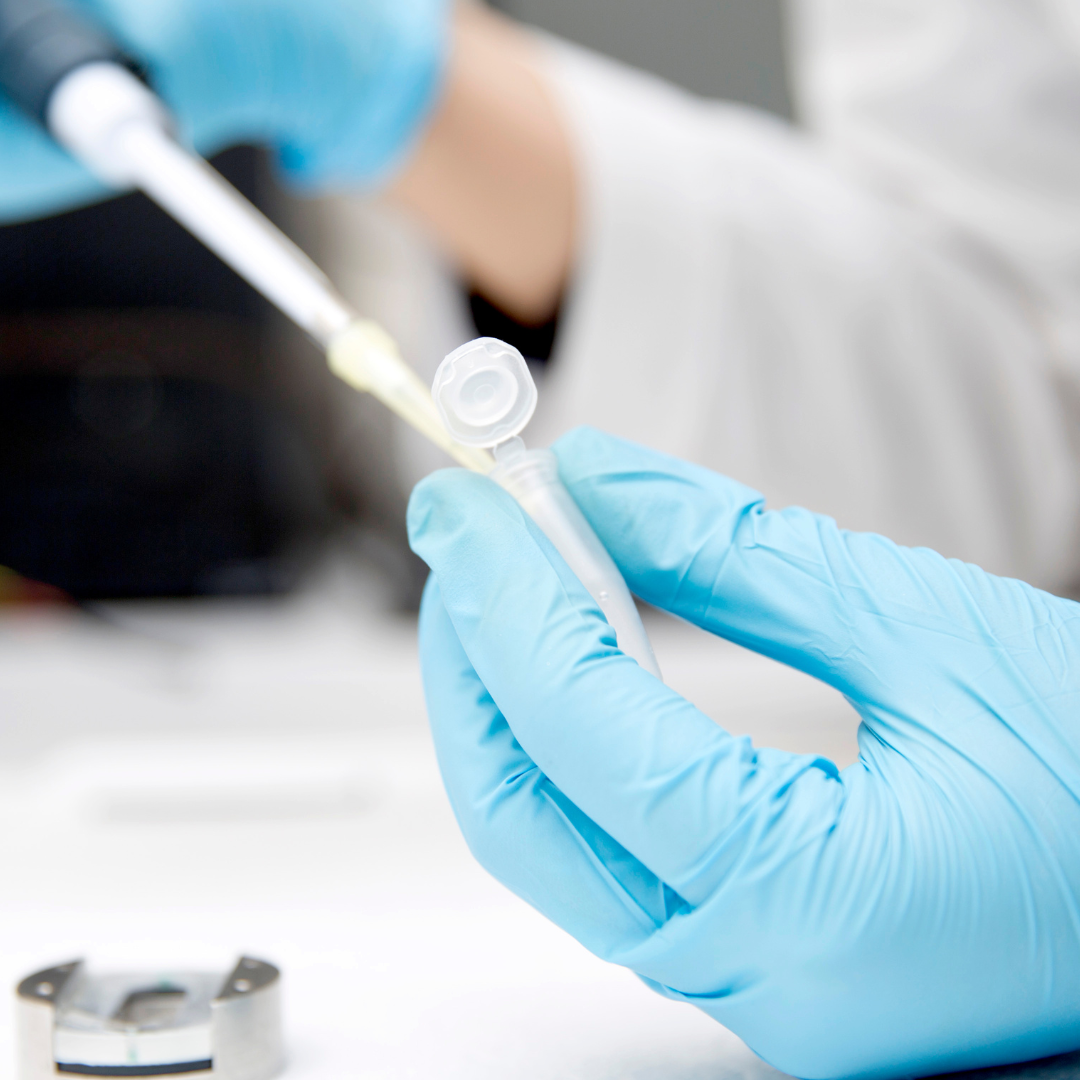 Services 3 — Dr. John Norian