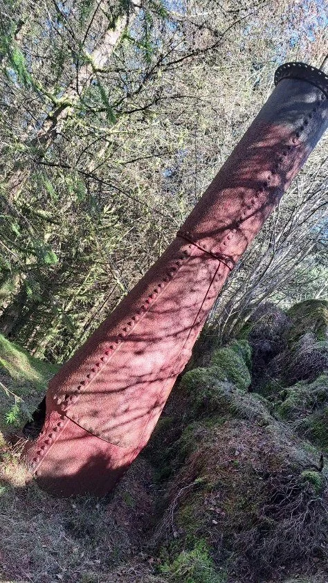 About — Haley Bird Design