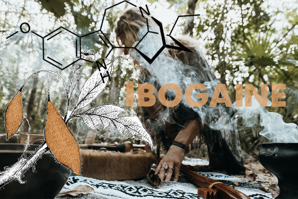 Ibogaine: One man’s journey to change his drug use — Users News (UN)