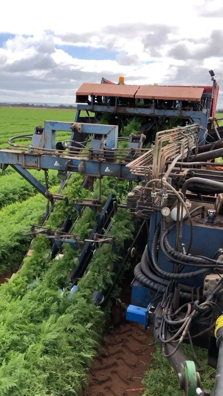 Hay Valley Vegetables