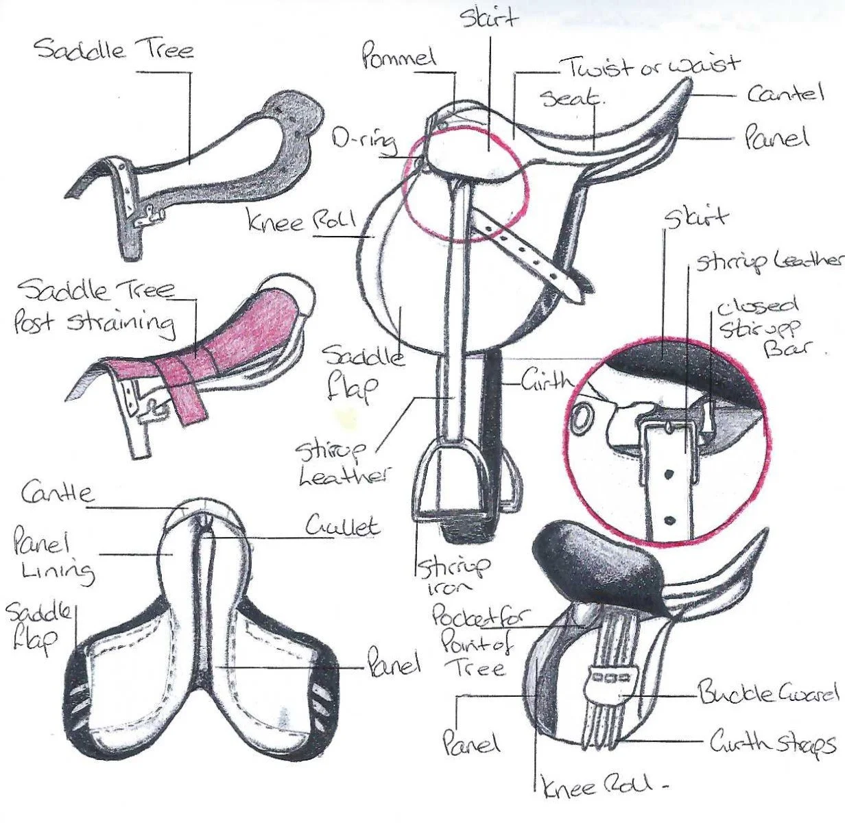 The importance of correct saddle fitting — Equilibria Gold