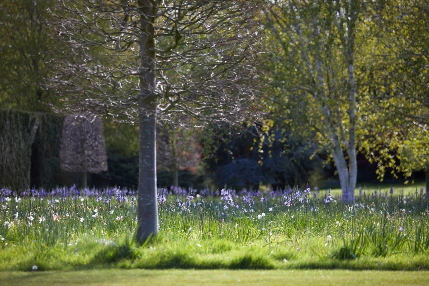 Press & Media — Daniel Combes Garden Design