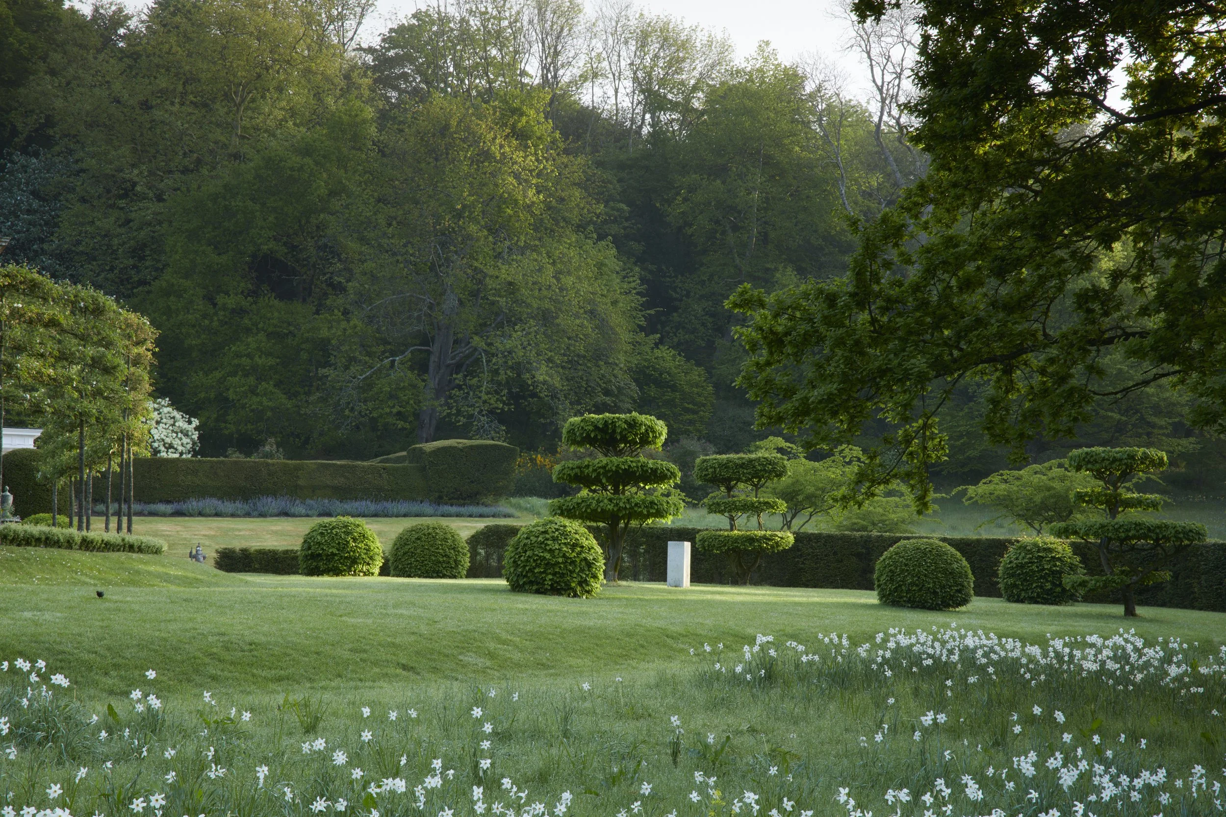 Wiltshire Garden Design — Daniel Combes Garden Design