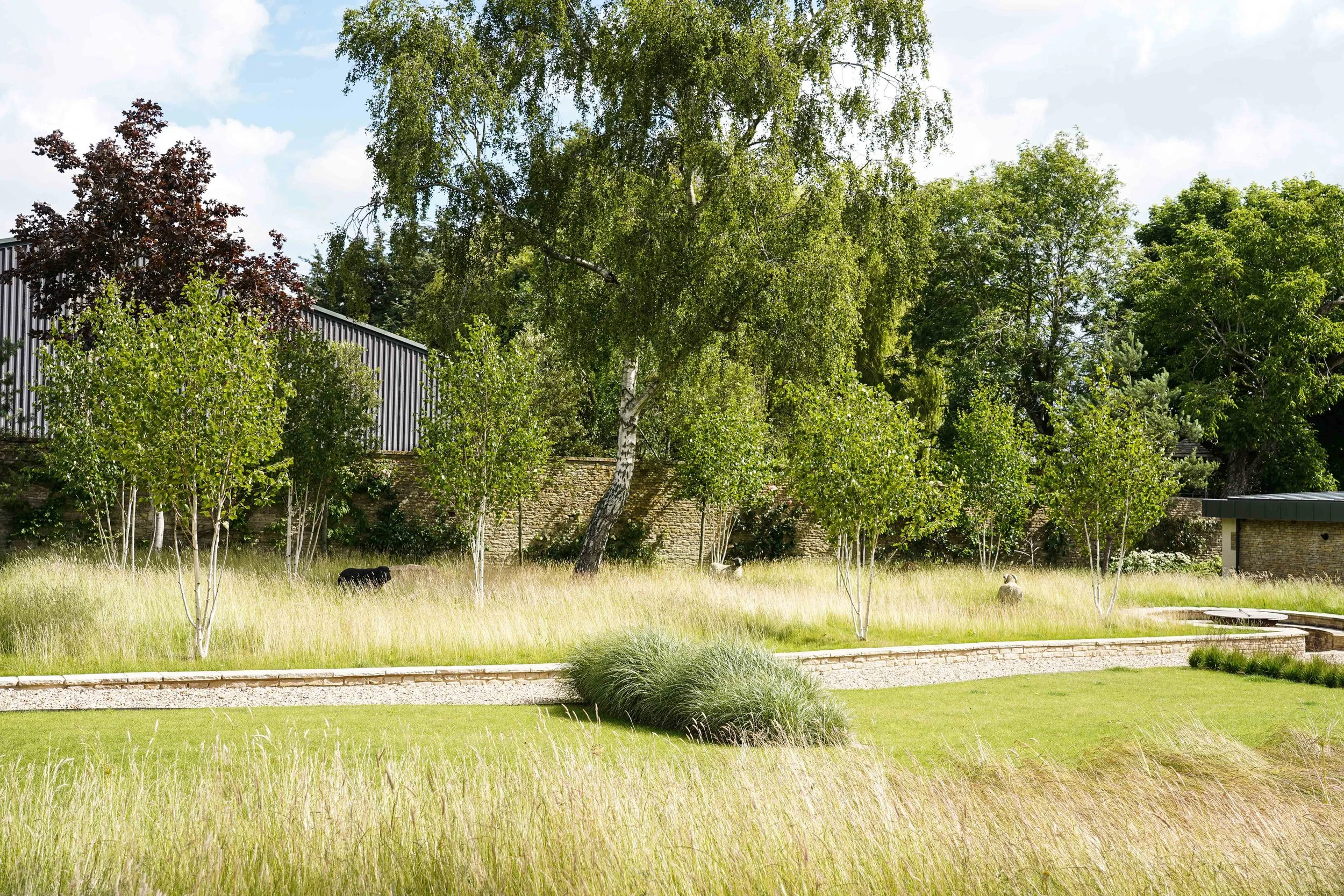 Oxfordshire Garden Design — Daniel Combes Garden Design