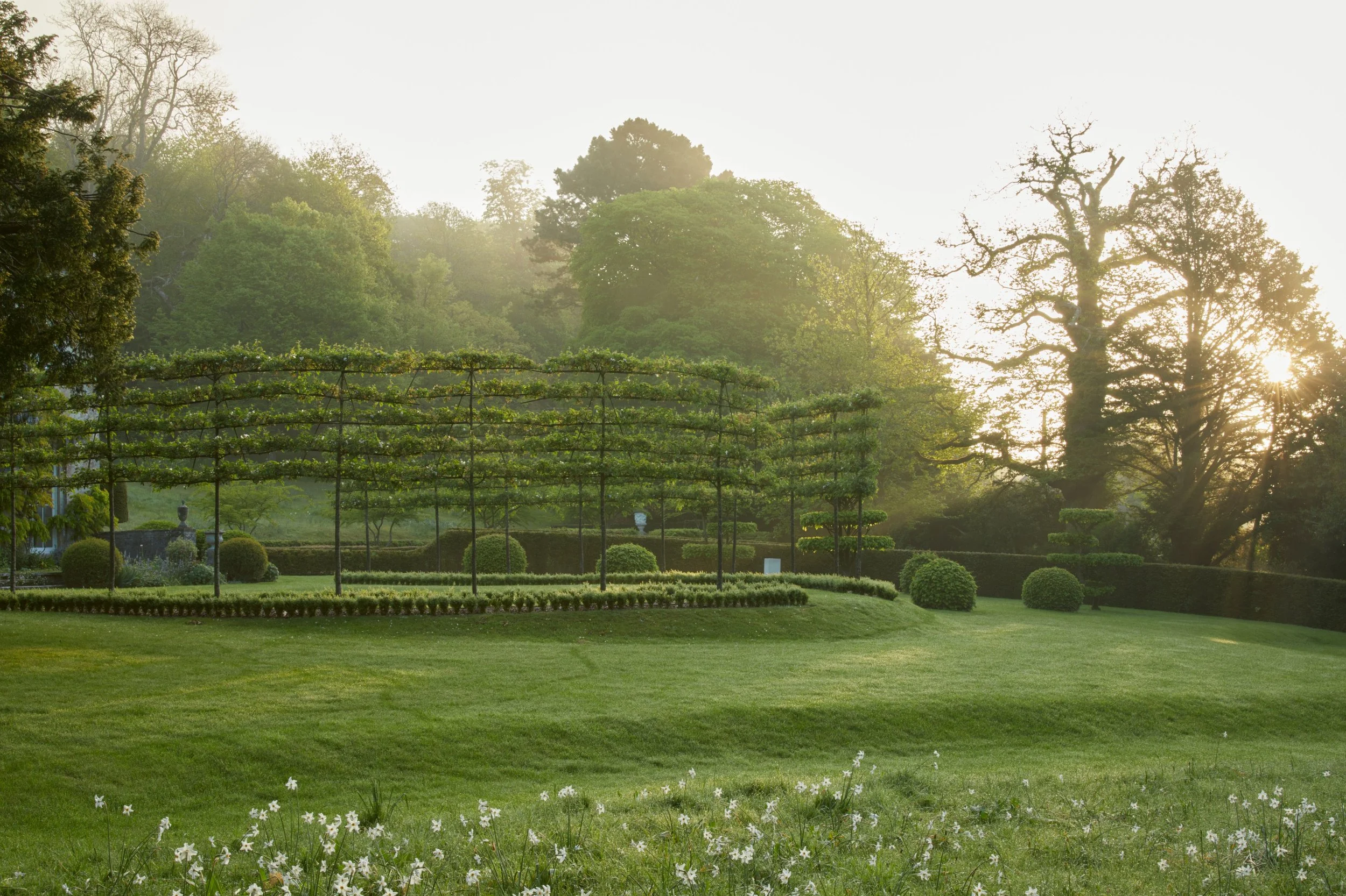 Wiltshire Garden Design — Daniel Combes Garden Design