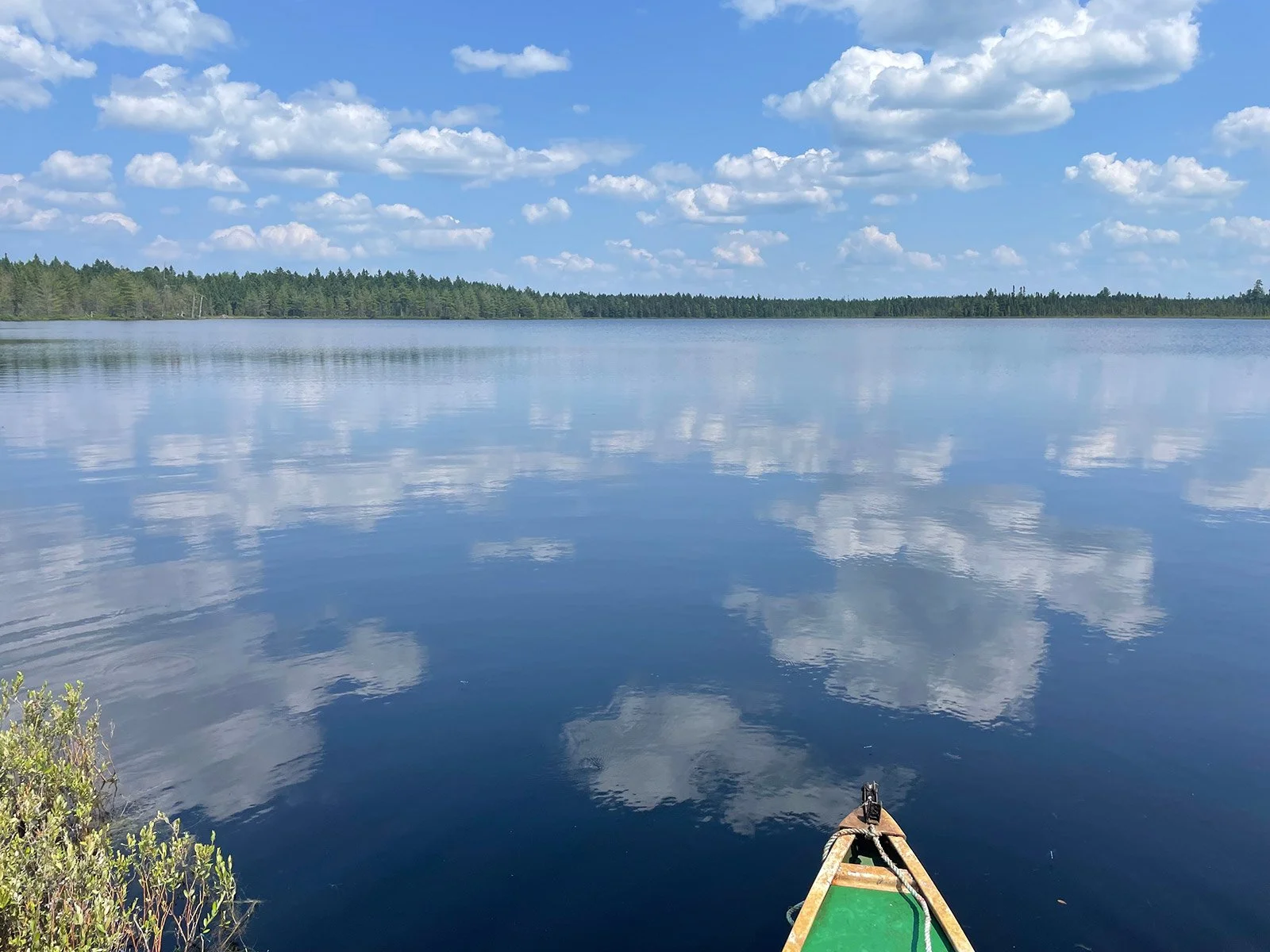 DDT in lake sediments — ECAB LAB @ MTA