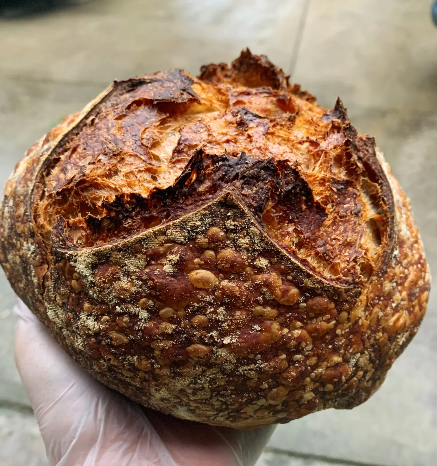 Happy Flour Bakery