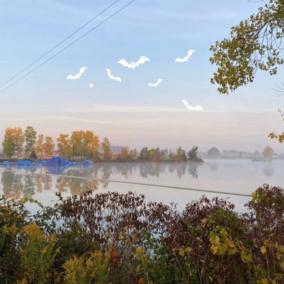 Passes — Bluestone Wake Park