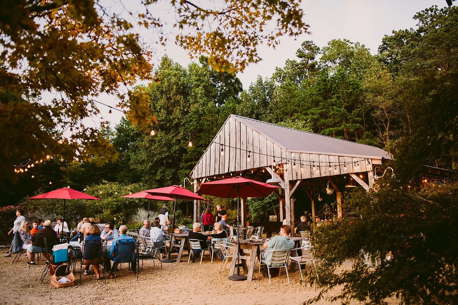 Wine Tasting in Virginia — Chisholm Vineyards