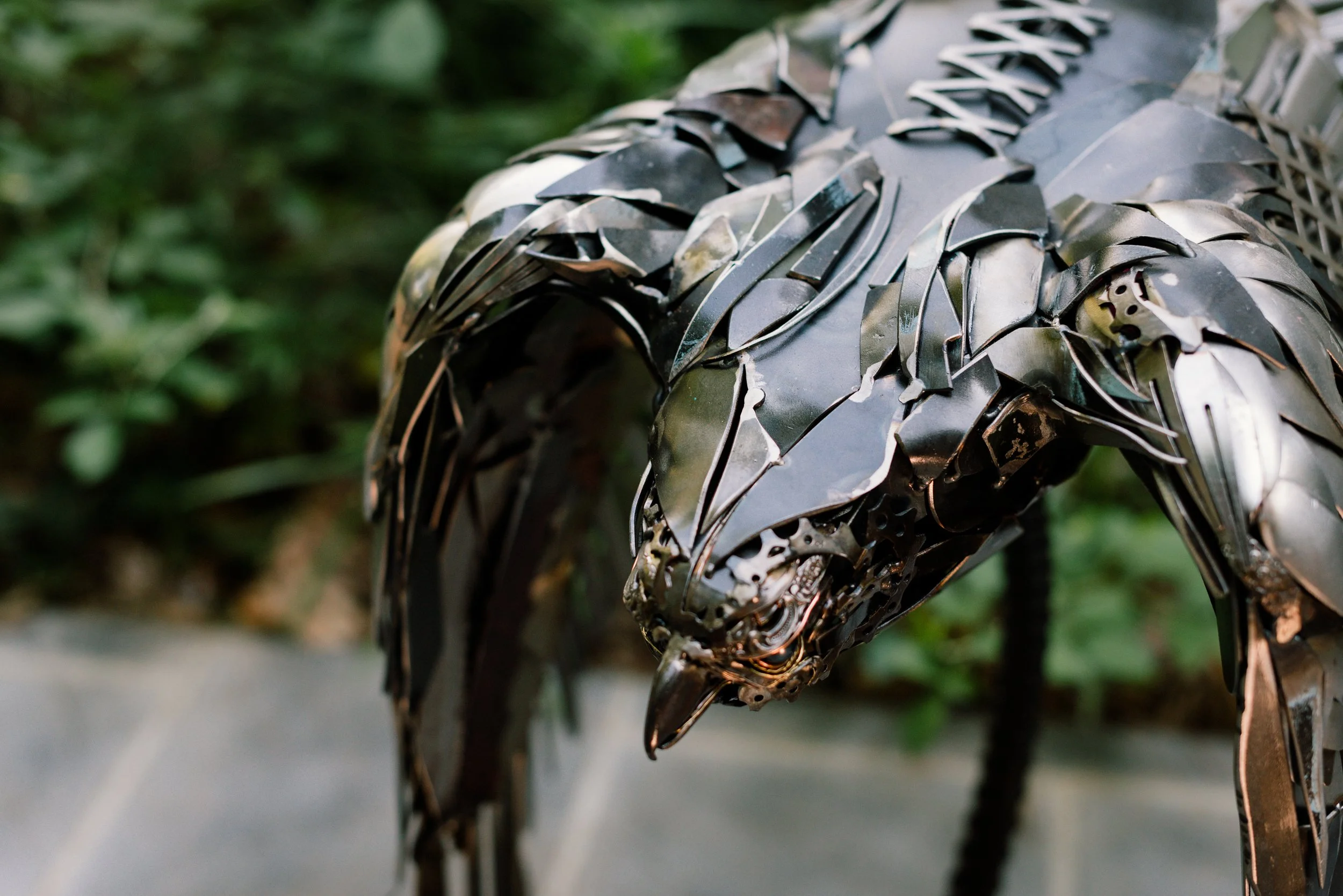 Large Hawk — Bruised Reed Studio