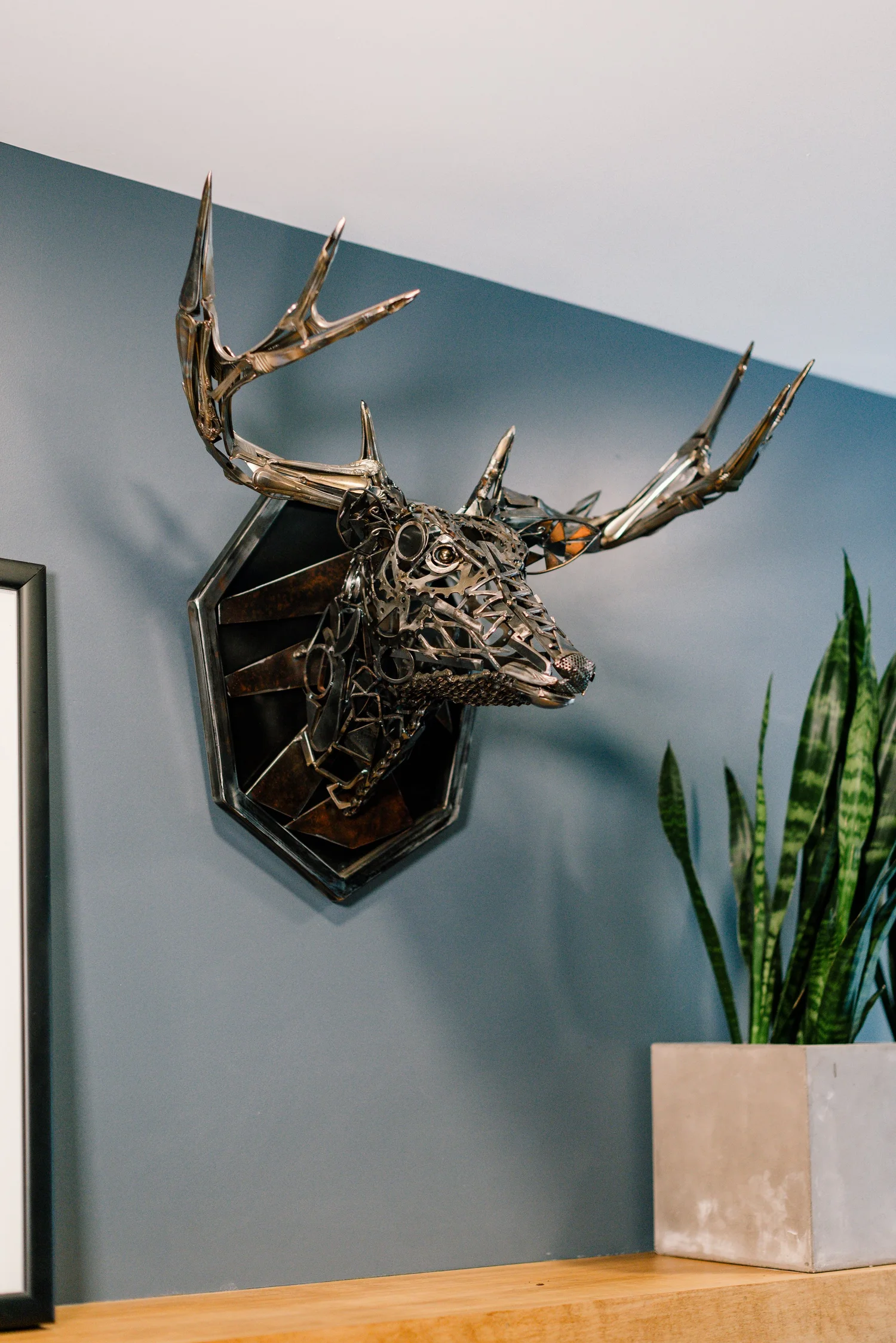 Gallery — Bruised Reed Studio