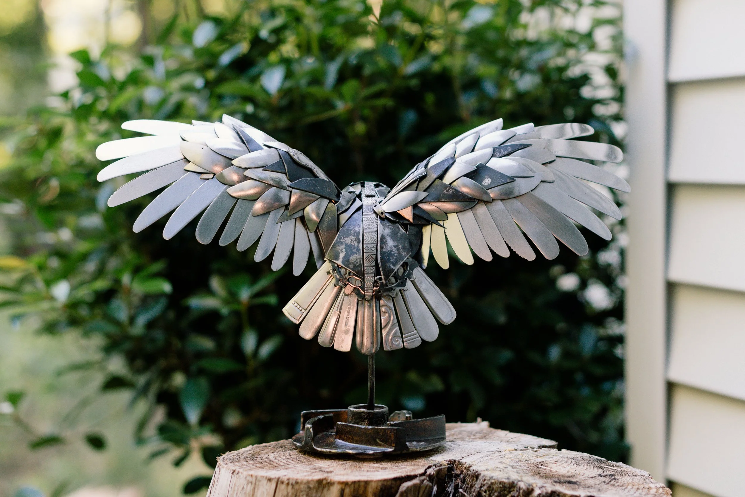 Great Grey Owl — Bruised Reed Studio
