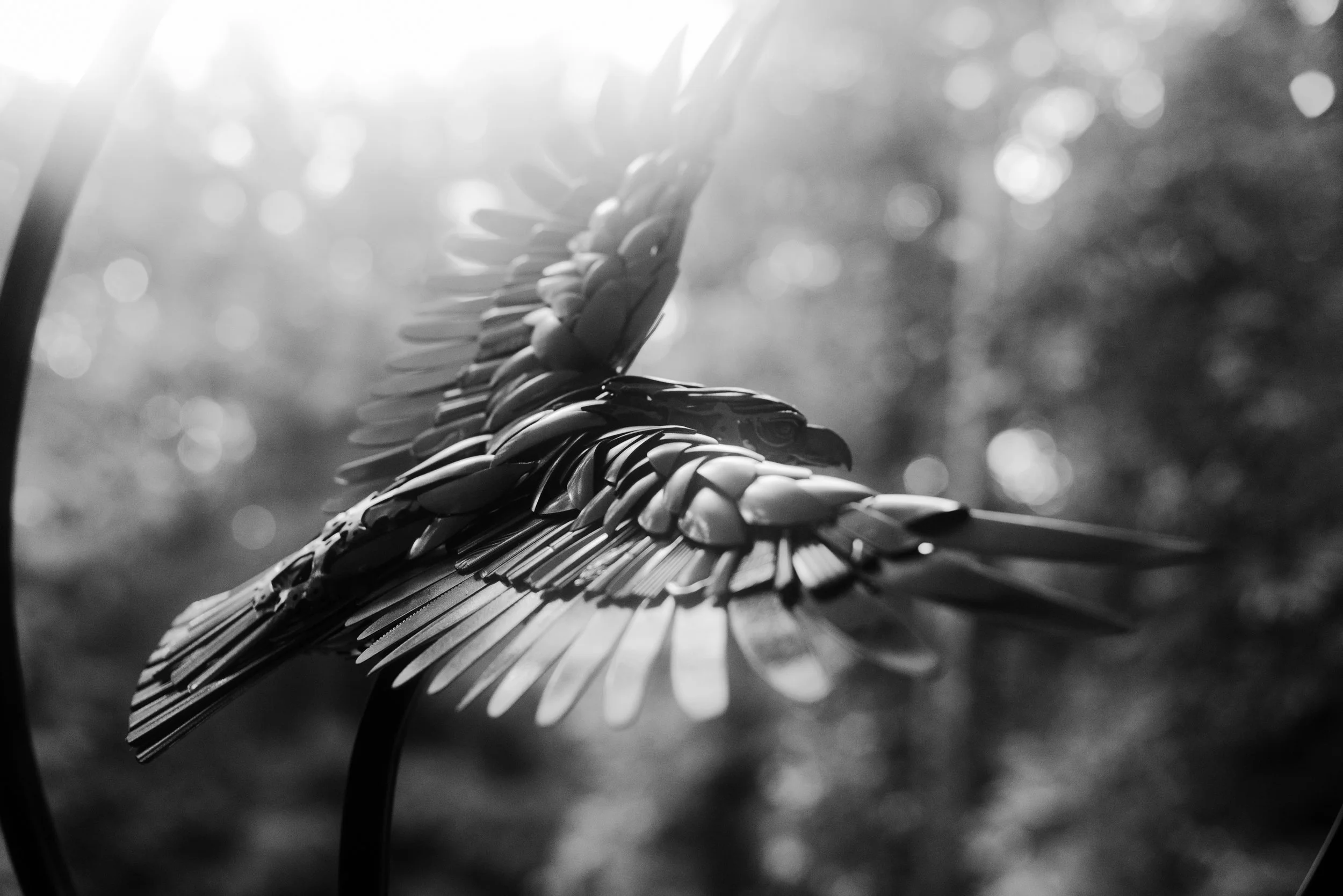 Eagle in Hoop — Bruised Reed Studio