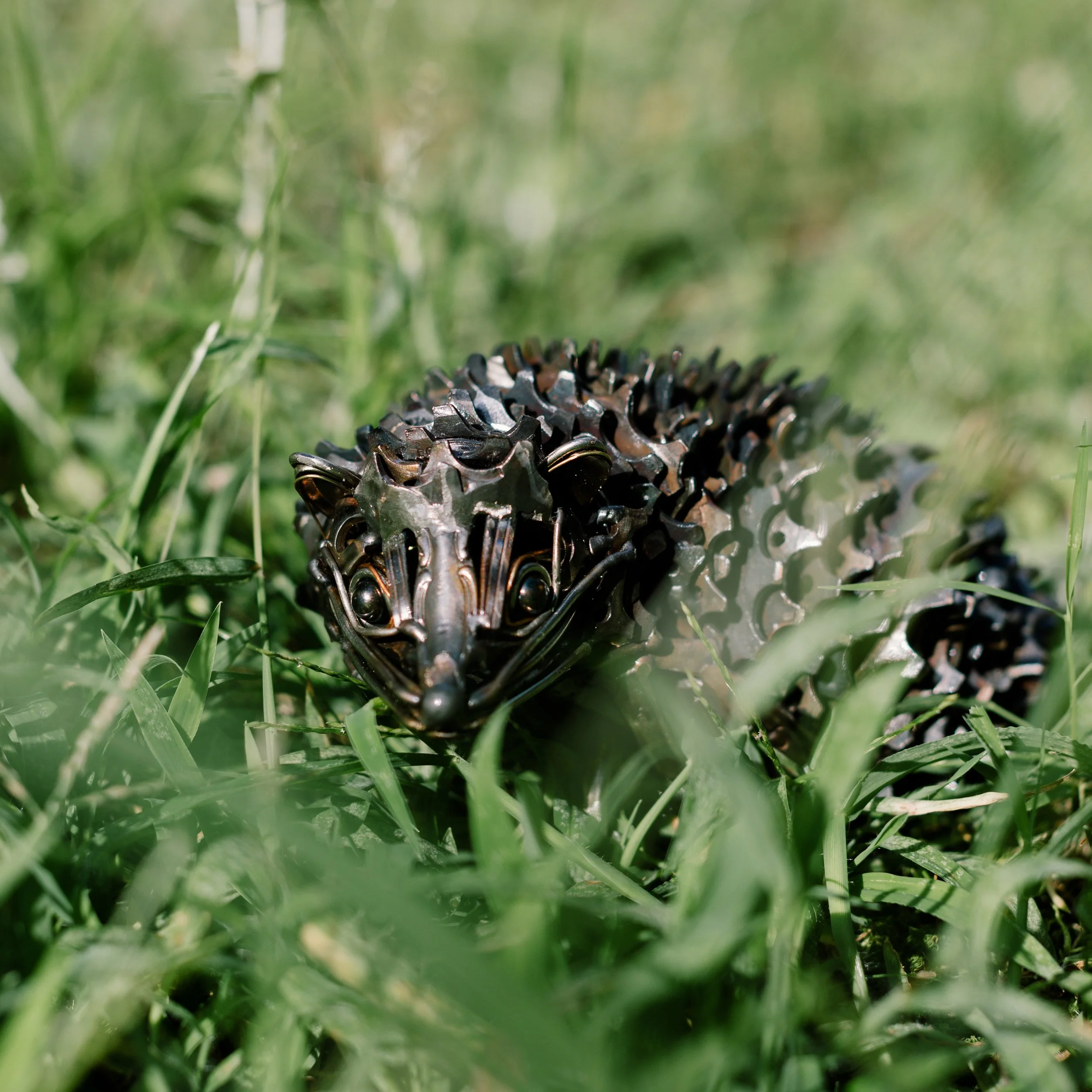 Hedgehogs — Bruised Reed Studio