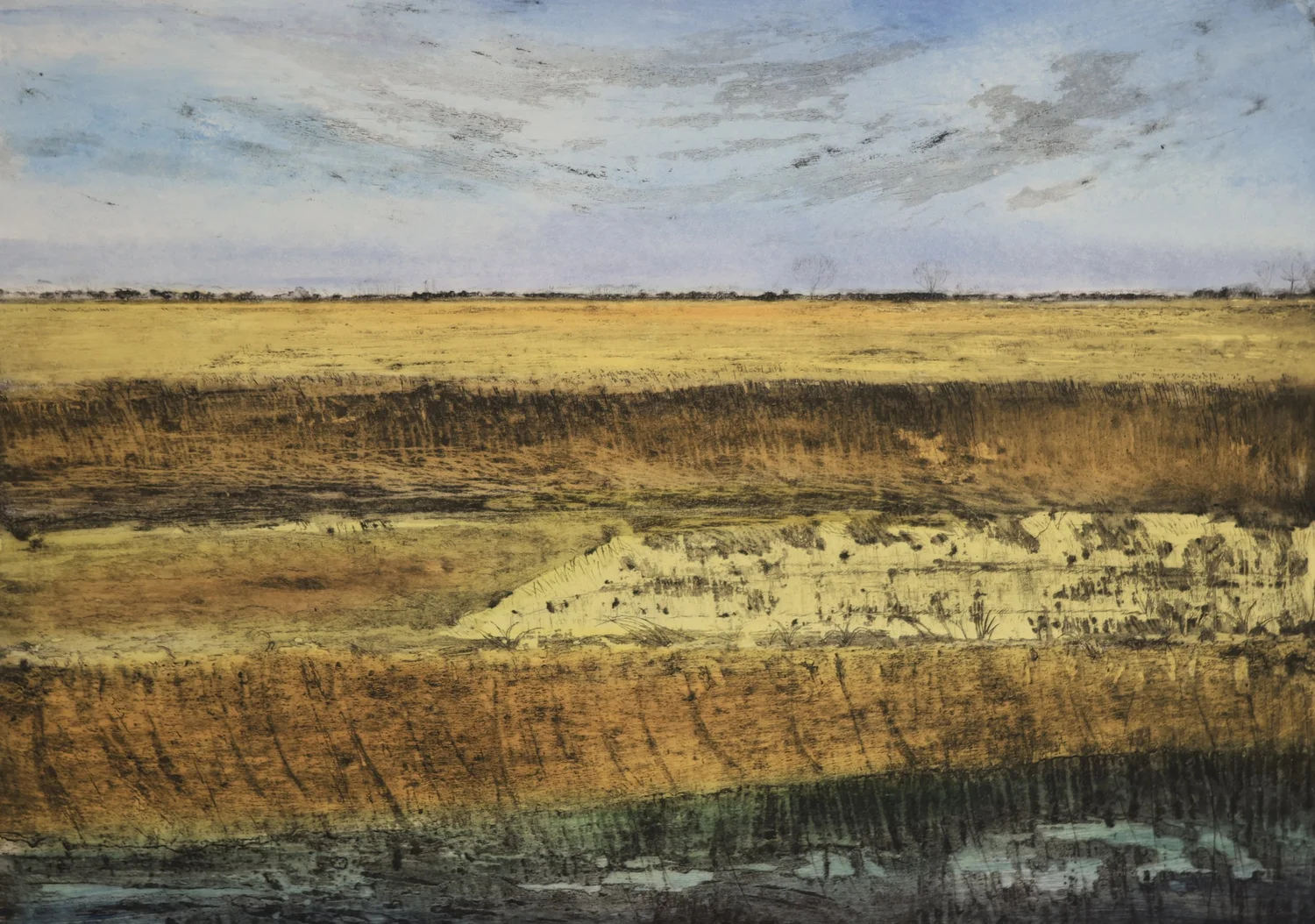 Baker's Fen IX — Iona Howard