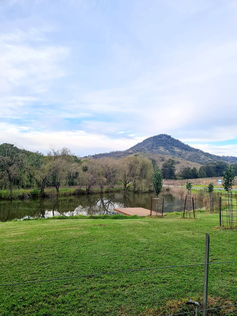 Roma Cottage — Roma Orchard