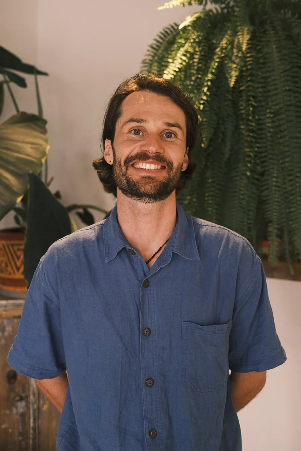 Chiropractic — The Wellness Pod