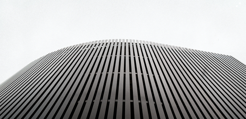 Our Team — Twenty20 Management